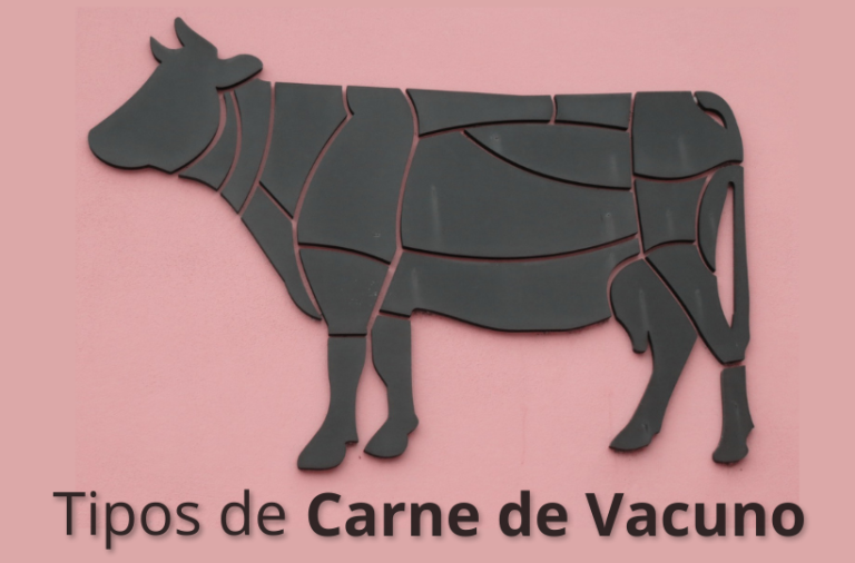 Tipos de Carne de Vacuno y sus Cortes ¡Conócelos todos!