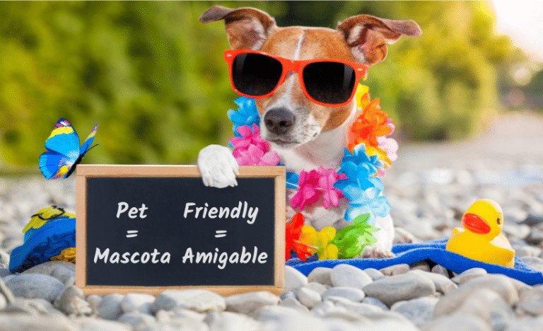 Pet Friendly: Qué es y Mapa de sitios para ir con tu mascota