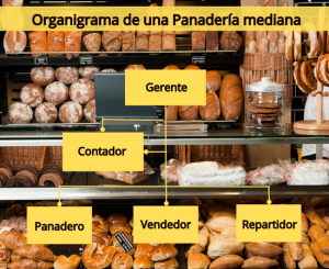 Cómo hacer un Organigrama de una Panadería en 2025